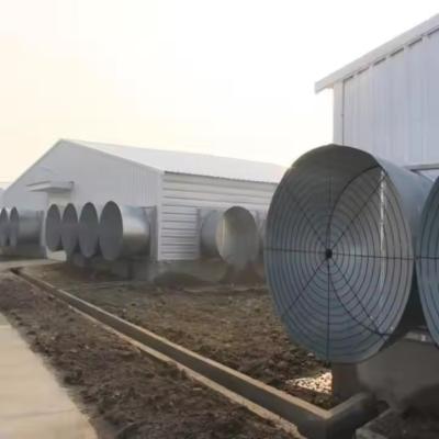 China Modern Design Waterproof Thermal Insulation Chicken House Laying Chicken House Steel Structure Poultry House for sale