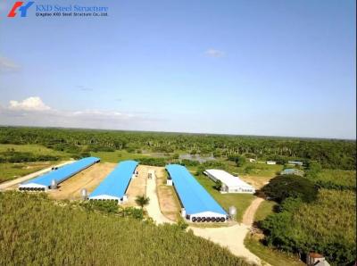 China Prefab Steel Structure Poultry House - Q235B/Q355B Carbon Steel Design for sale
