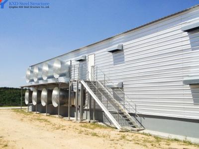 China Prefabricated Steel Poultry House with Q235/Q355 H Section Steel Structure for sale
