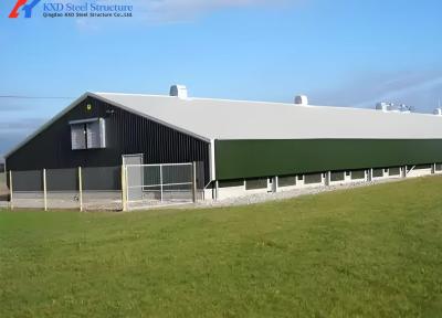 China Steel Structure Poultry House with Automatic Feeding System - ISO9001 Certified for sale
