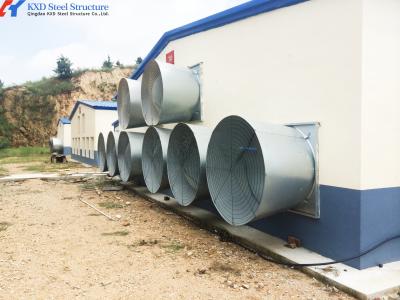China Steel Structure Poultry Shed - Fully Automated Chicken Farming Equipment for sale