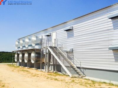 China Custom Prefabricated Steel Poultry House for 15000 Broiler Birds for sale