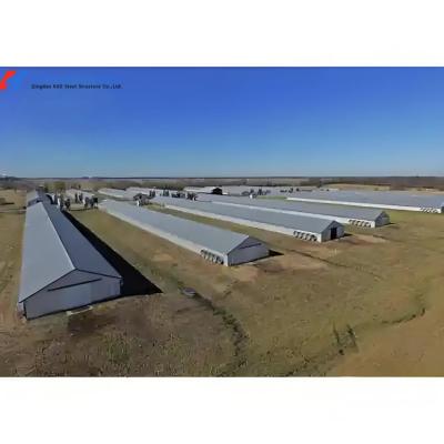 China Fully Automatic Galvanized Poultry Farm Layer Cage with Feeding System for sale