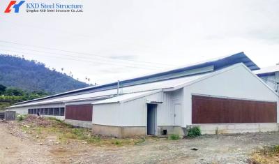 China Fully Automatic Galvanized Poultry Farm Layer Cage with Feeding System for sale