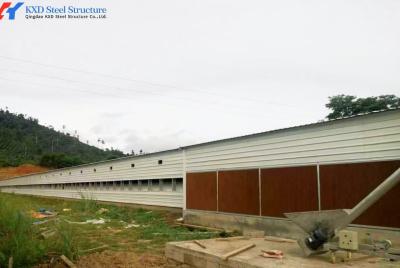 China Fully Automatic Galvanized Poultry Farm Layer Cage with Feeding System for sale