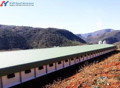 China Fully Automatic Galvanized Poultry Farm Layer Cage with Feeding System for sale