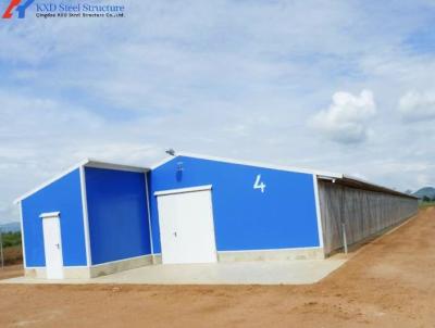 China Galvanized Steel Poultry House with Automatic Feeding System for Chicken Farming for sale