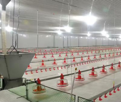 China Broiler Breeder Raising Growing Equipment System Plant Line Layer Floor Farming Poultry Chicken House for sale