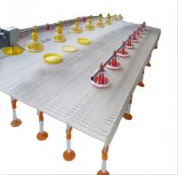 China Automatic Feeding System For Broilers And Layers for sale