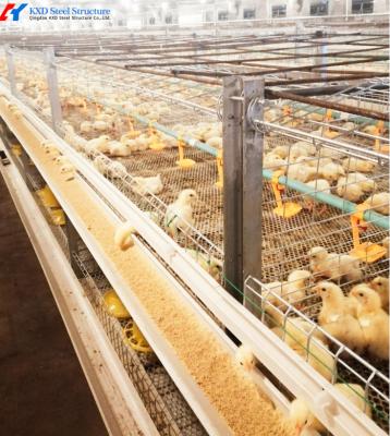 China Multifunctional Broiler Chicken Layer Battery Cage Automatic Poultry Farming Cage for sale