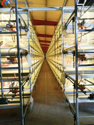 China Poultry Equipment Chicken Layer Cages A Type H Type Layer Cage Automatic for sale