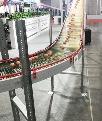 中国 オーダーメイド 自動鶏卵収集システム 販売のため