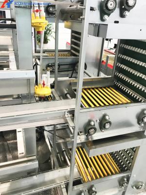 China Custom Automatic Chicken Egg Collection System For Layers Cage Feeding for sale