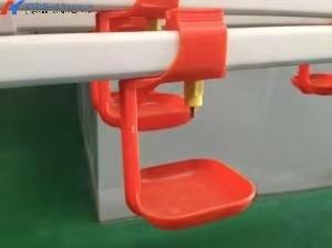 Cina Bevitore di pollame completamente automatico, Bevitore di pollo da pollo personalizzato in vendita