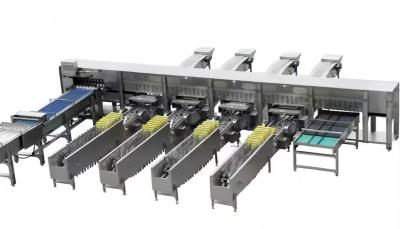 Cina Lavatrice di uova di pollame, uova di pollo, uova di anatra salate, in acciaio inossidabile in vendita