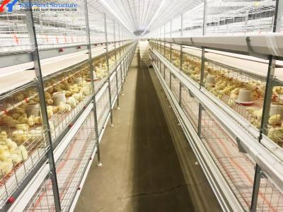 China Automatic Battery Egg Layer Cages , Chicken Laying Hens Cage Poultry Farming Equipment for sale