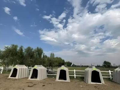 China Easy Assembly Cattle Sheds Steel Structure Cow Farming Shed Weather Resistant for sale