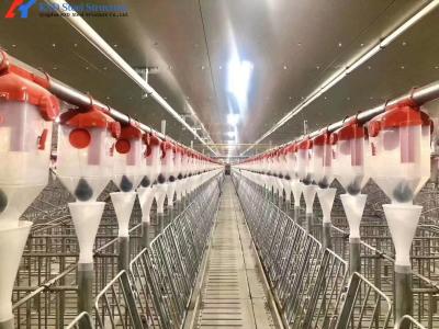 China Piggery Equipment Pig Farming Crate System For Pig Shed Farm for sale