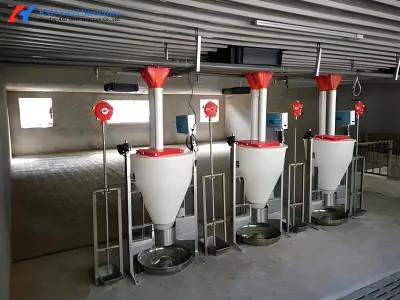 China Customized High Strength Pig Feeding System For Livestock Piglet for sale