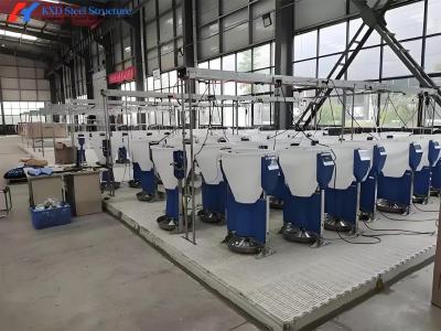 China Steel Pig Farm Shed Piggery Equipment Feeding Accessories Customized for sale