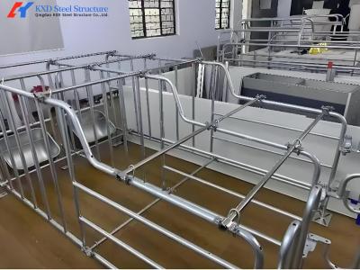 China Galvanized Pig Farrowing Crates Piggery Equipment Sow Farrowing Bed for sale