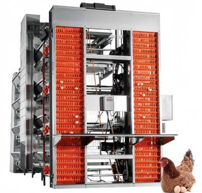 China A Type Battery Layer Chicken Cage Automatic Chicken Poultry Farming Equipment for sale
