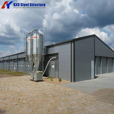 중국 닭고기 농장 닭고기 밭 가축 건물 10000 마리의 닭을 위한 가옥 가벼운 디자인 용접 절단 굽기 서비스 판매용