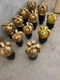 Cina PDC Oil Drill Bit 3 3/4 