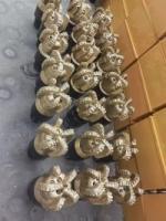 China PDC Oil Dril Bit 3 3/4
