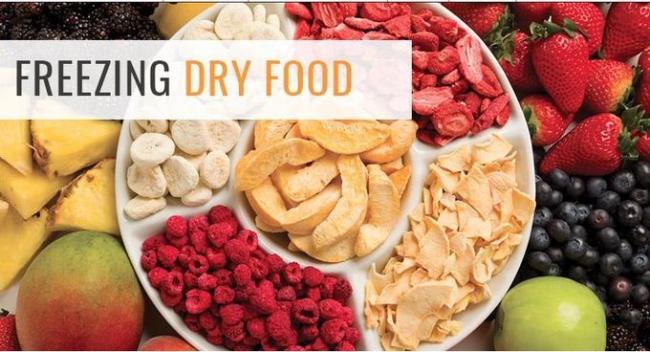 0.6sqm 6-8kg Cheap Food Processing Small Coconut Pineapple Chips Dehydrator mini freezing dryer machine