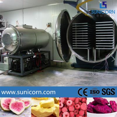 Cina Capacità dell'essiccatore di gelata di vuoto dell'alimento di acciaio inossidabile grande 6600*2100*2100mm in vendita