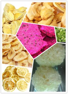 Cina Mini di acciaio inossidabile completamente dell'essiccatore di gelata del liofilizzatore dell'alimento 2Kg-4Kg in vendita