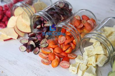 Cina Mini di acciaio inossidabile completamente dell'essiccatore di gelata del liofilizzatore dell'alimento 2Kg-4Kg in vendita