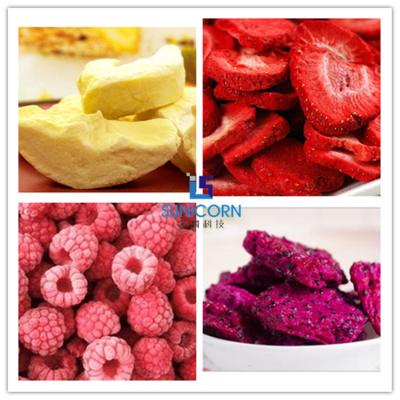 Cina Mini di acciaio inossidabile completamente dell'essiccatore di gelata del liofilizzatore dell'alimento 2Kg-4Kg in vendita