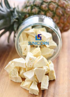 Cina Mini di acciaio inossidabile completamente dell'essiccatore di gelata del liofilizzatore dell'alimento 2Kg-4Kg in vendita