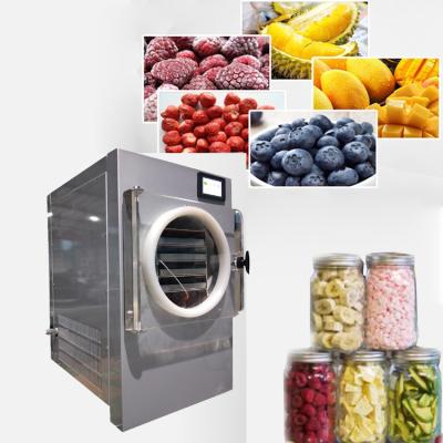 Cina Touch screen che aziona inizio chiave liofilizzato del Fruit machine 8kg uno in vendita