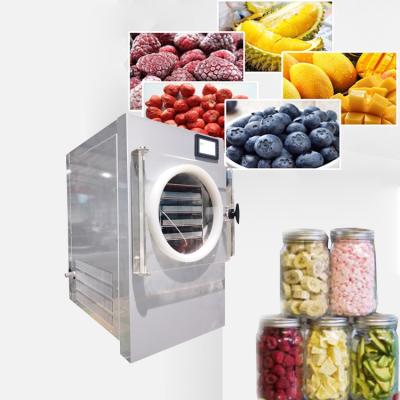 Cina Riscaldamento elettrico di verdure dell'essiccatore di gelata dell'alimento del liofilizzatore dell'alimento della frutta in vendita