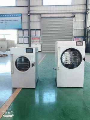 Cina 2Kg a basso rumore 4Kg piccolo Mini Freeze Dryer Household Use in vendita