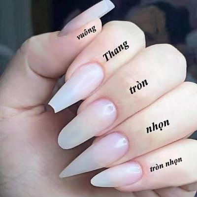Cina 500pcs Easy Wear Wholesale 10 Clear Fake Ballerina Types Stiletto Nails Pointed Toe Natural French Press On ABS Nails Tips in vendita