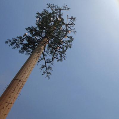Китай Башня 30m искусственного камуфлирования сосны Monopole 35m 40m продается