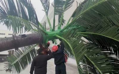 China Camouflaged Artificial Palm Tree Cell Tower Monopole Telecom Tower wind speed up to 290km/hr for sale