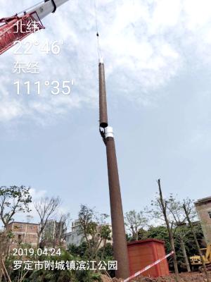 Cina la telecomunicazione di 25m ha cammuffato la torre unipolare delle torri cellulari in vendita