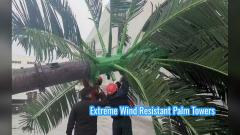 Camouflaged Palm Tree Telecom Tower Withstands 290km hr Winds