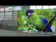 AUO LG Samsung BOE Large Big LCD Screen Video Panel Replacement Panel 42 55 65 Inch Indoor