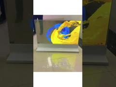 Transparent LCD Display
