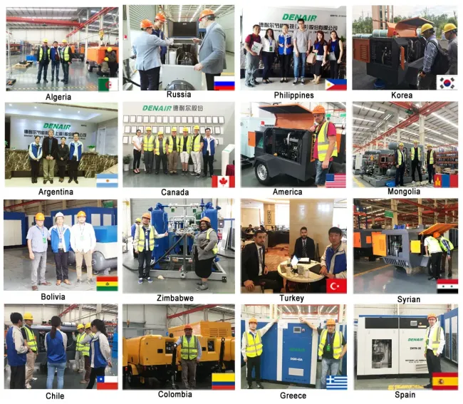 Denair Permanent Magnet Synchronous VSD Screw Air Compressor