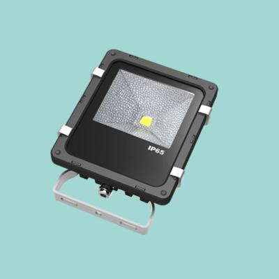 Cina Le luci di inondazione principali potenti di alta luminosità 20w, Shell nero colorano le luci di inondazione del paesaggio della strada privata in vendita