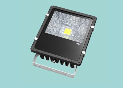 Cina 110 alta efficienza all'aperto cambiante della luce di inondazione della PANNOCCHIA LED di colore del lume 50w in vendita