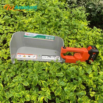 China DL-4CD-35N Electric Tea Harvester for Full Auto and Automatic Green Tea Processing for sale