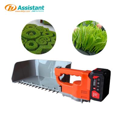 China Tea Leaf Picker Dl-4CD-35N DELI Tea Harvester With and Lithium Battery For Tea Picking for sale